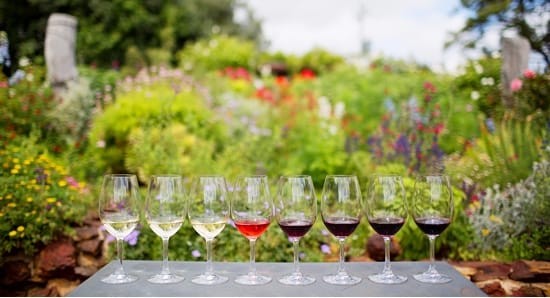 Coriole Vineyards - Homepage